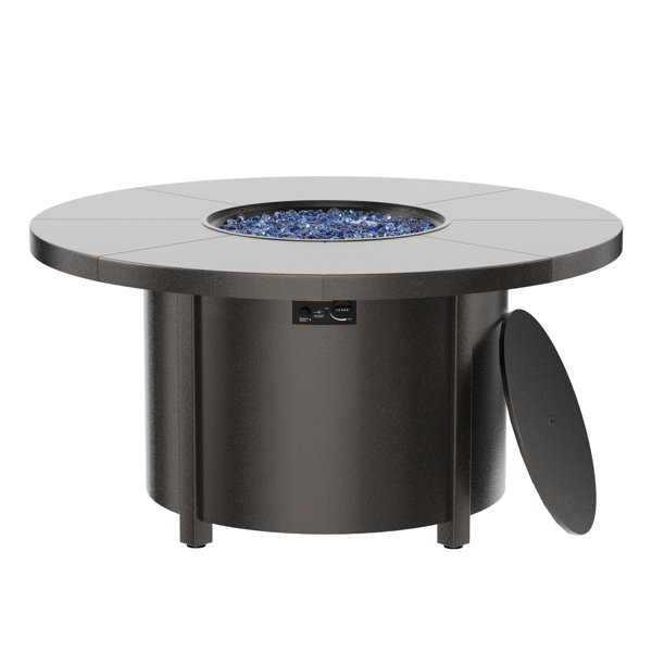 Latitude Run® Dobbs 48" Round Fire Pit Table 40,000 BTU Carbon Steel ...