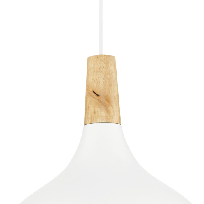 Zipcode Design Kaylen 1-Light Teardrop Pendant with Wood Accents ...