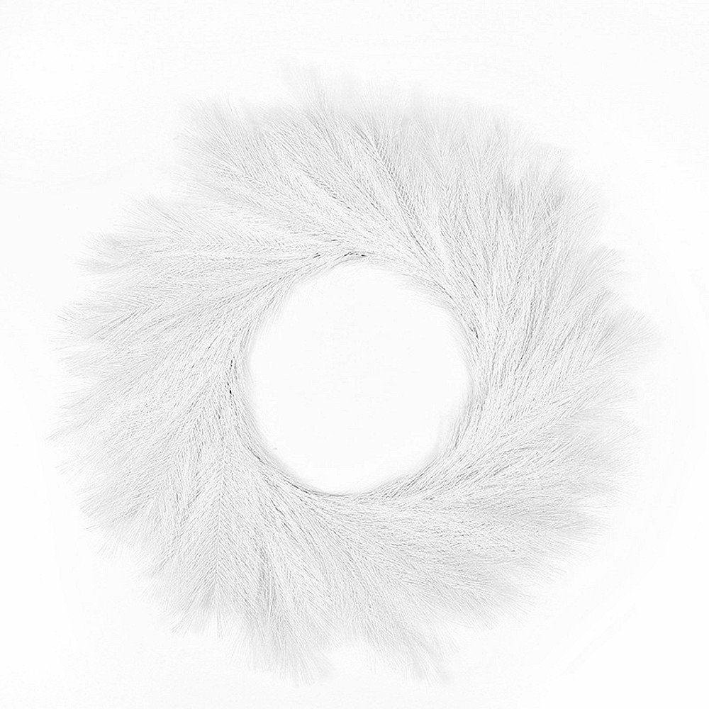 TRIXES Artificial Pampas Grass Wreath - White - 56cms | Wayfair.ie