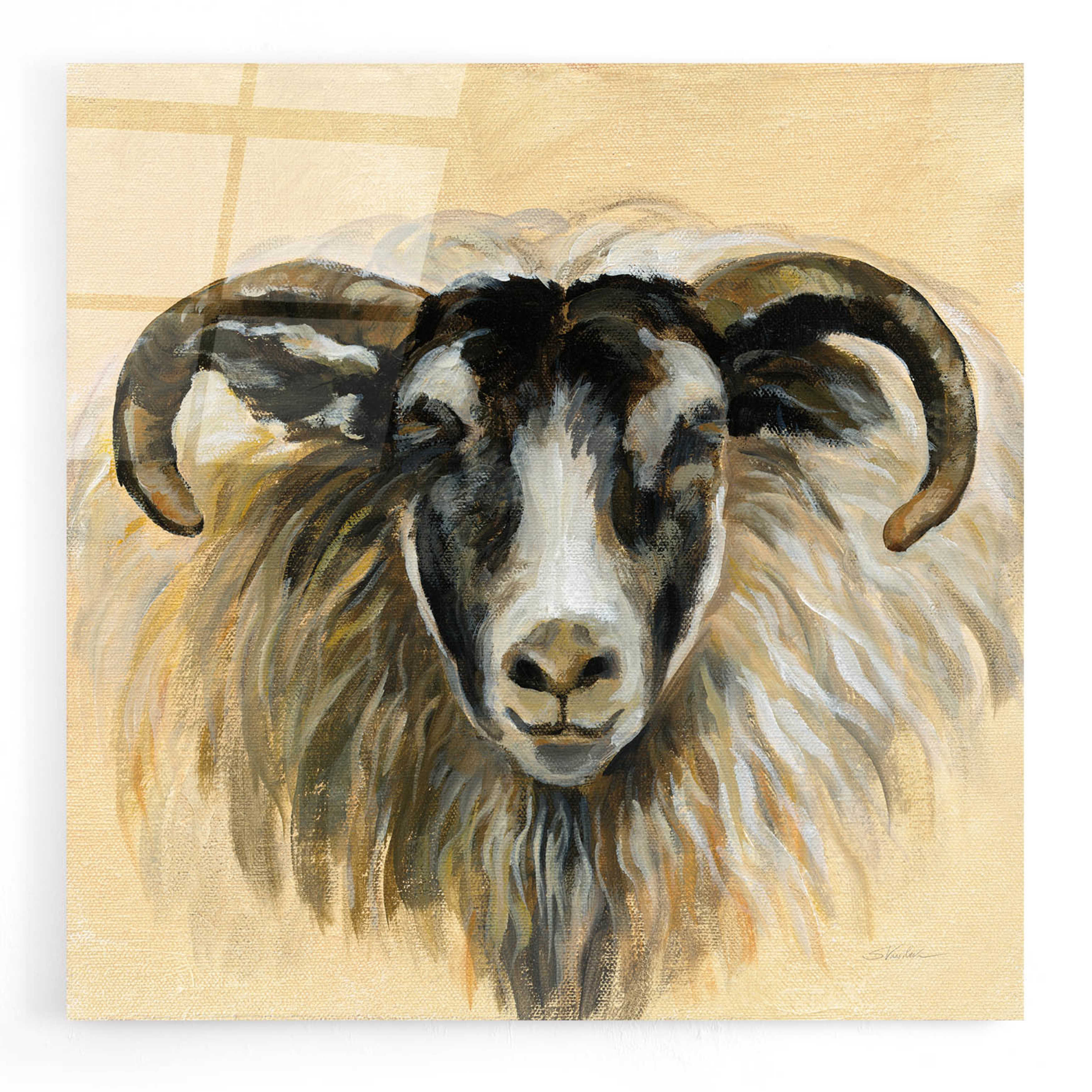 Union Rustic ''Highland Animal Ram'' By Silvia Vassileva Acrylic Glass ...