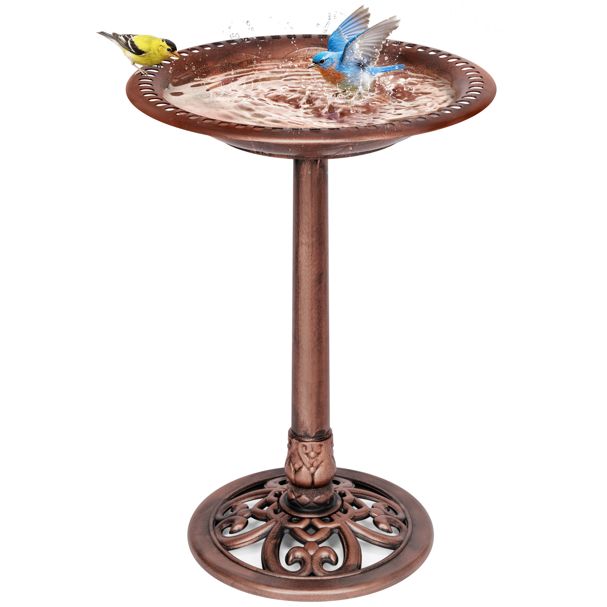 Charlton Home® Demetrion Polyresin Birdbath & Reviews | Wayfair