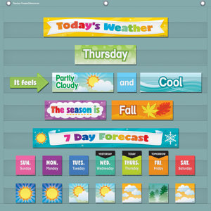 Teacher Created Resources Weather Pocket Chart Cards | Wayfair