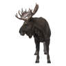 Hi-Line Gift Ltd. Standing Moose Statue & Reviews | Wayfair