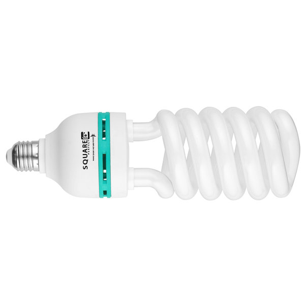 Square Perfect 5400K Compact Fluorescent (CFL) Bulb | Wayfair