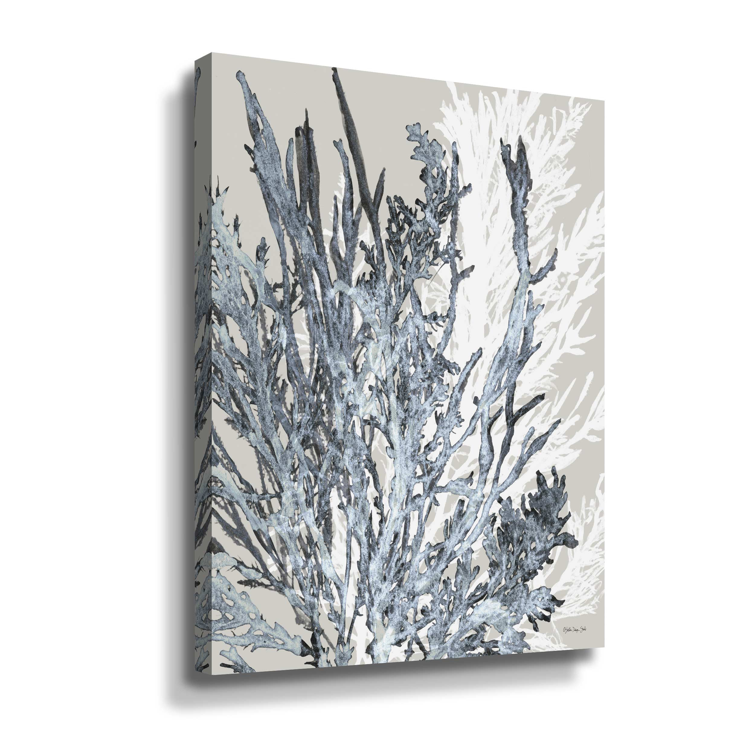 Rosecliff Heights Transparent Coral 2 Gallery | Wayfair