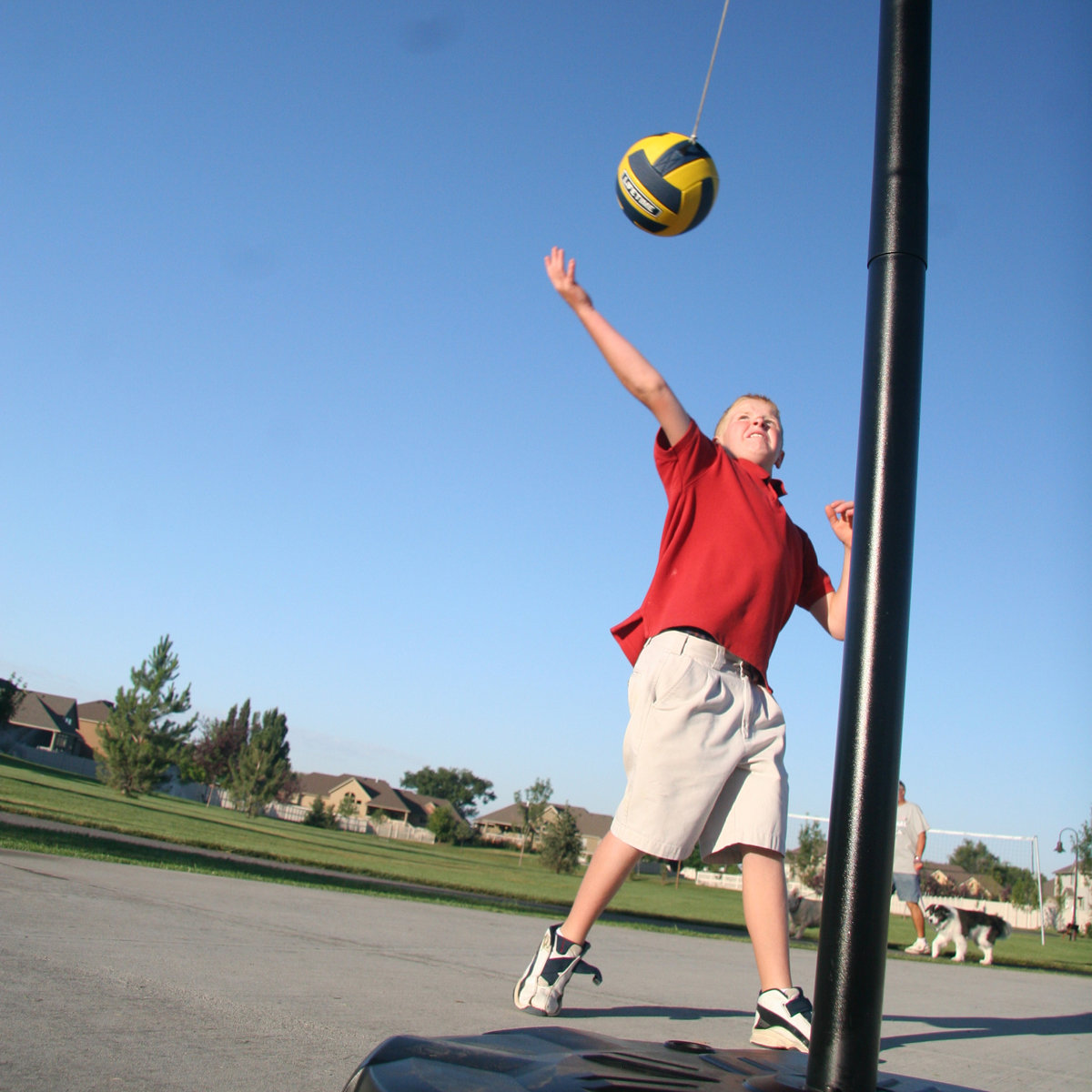 Lifetime Playground Portable Tetherball Set & Reviews | Wayfair