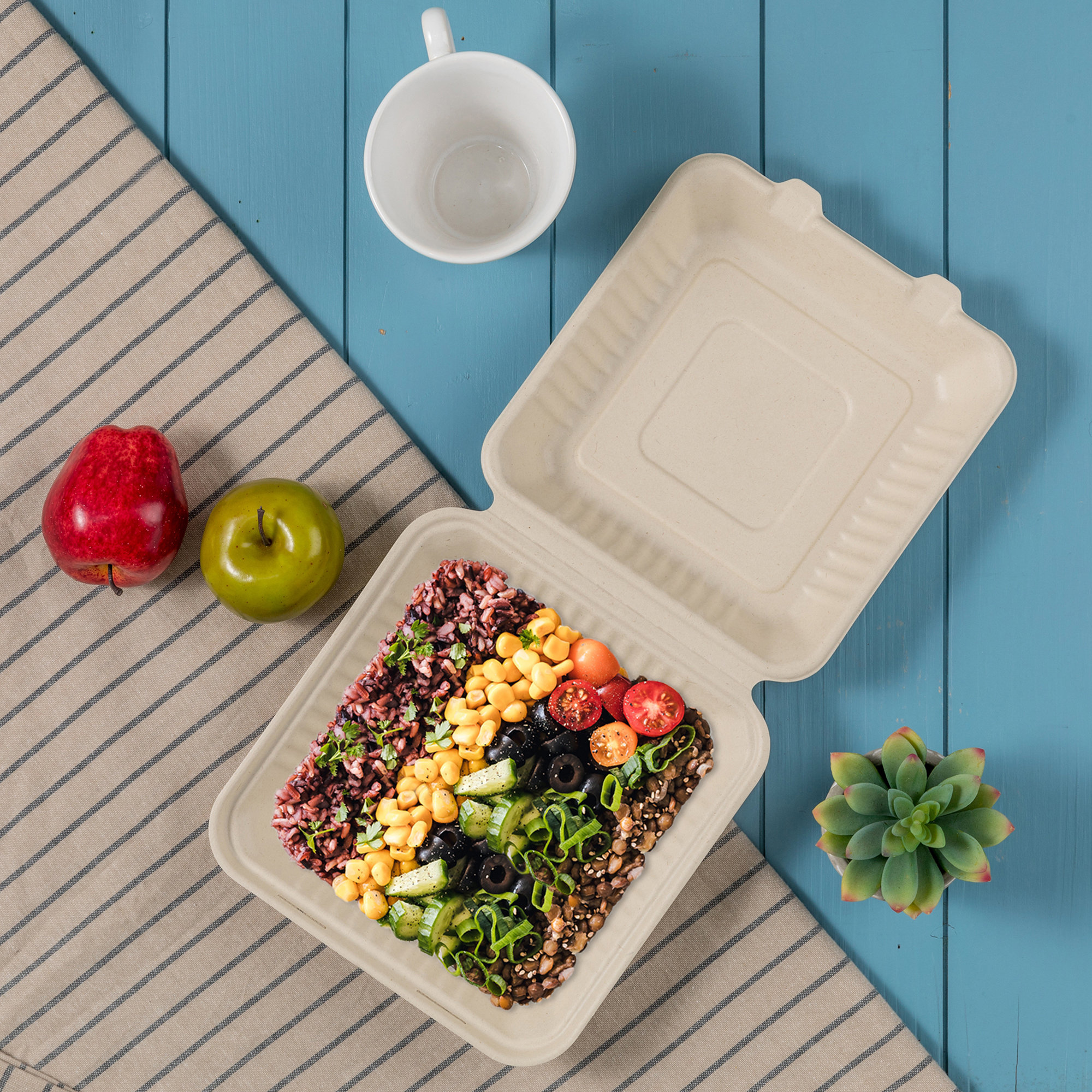 OAK PLUS Clamshell Bagasse Disposable Dinner Plate | Wayfair