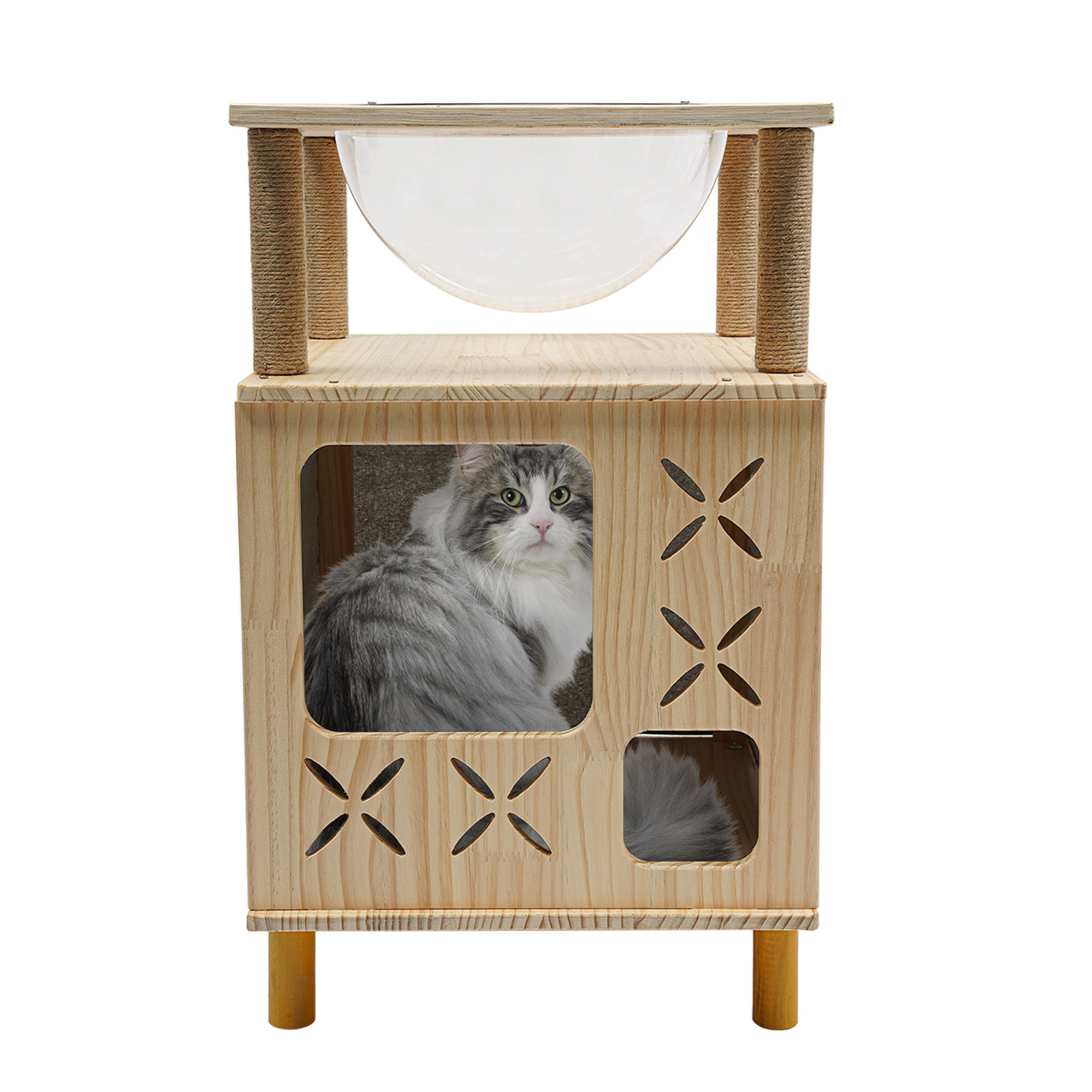 Tucker Murphy Pet™ Frenesi 24'' H Cat Tree - Wayfair Canada