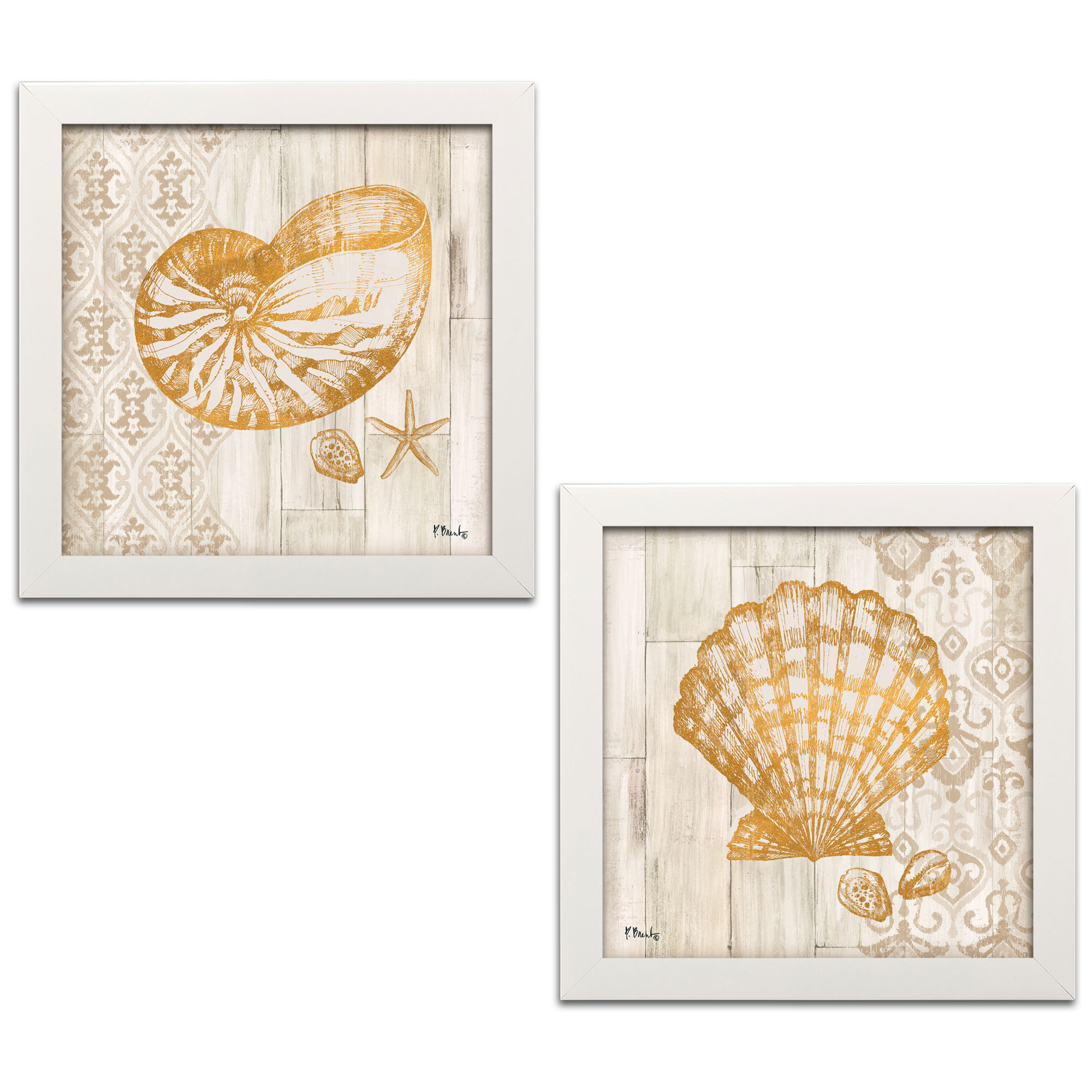 Highland Dunes Distressed Beach Décor Saint Tropez Nautilus and Clam ...