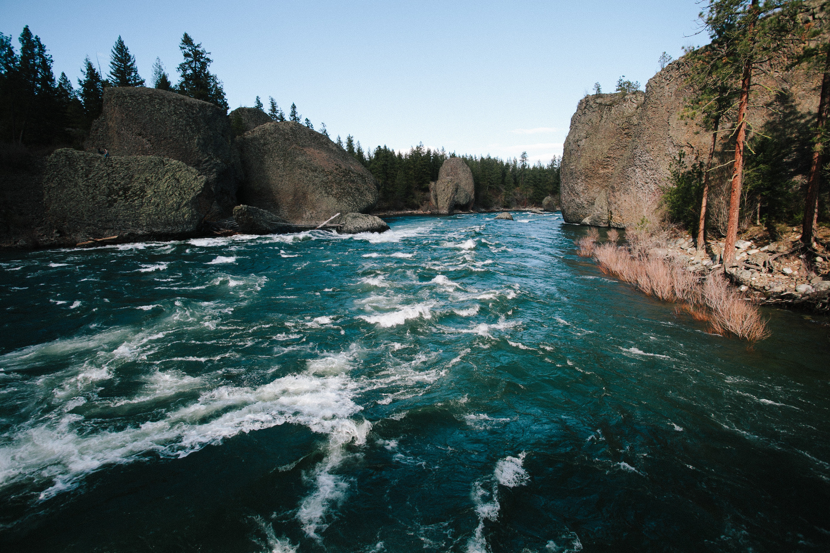 Millwood Pines Spokane River - Wrapped Canvas Photograph | Wayfair