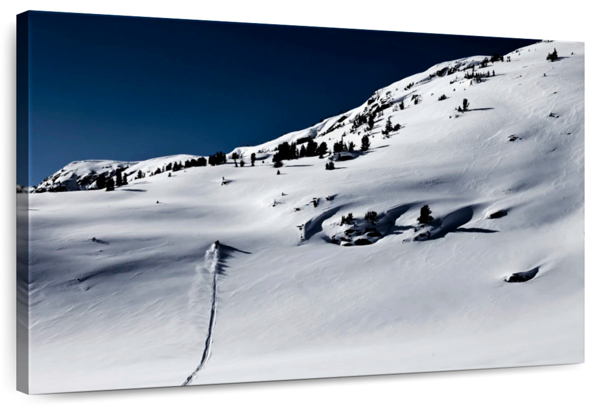 Ebern Designs Uphill Snowmobiling | Wayfair