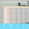 Wade Logan® Berdean Button Tufted Platform Bed Frame with LED Lights ...