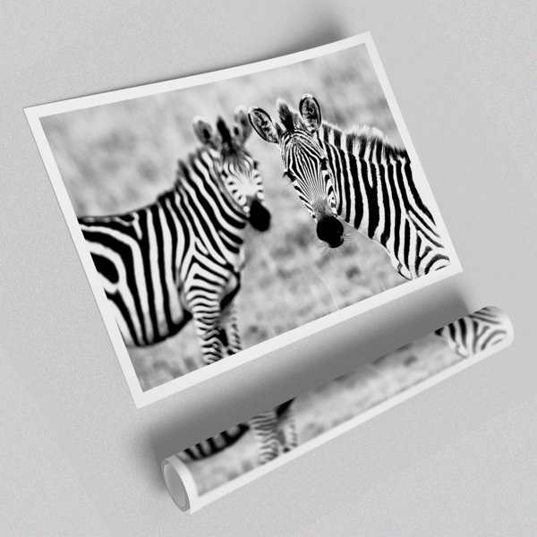 East Urban Home Zebra Twins - Unframed Photograph | Wayfair.co.uk