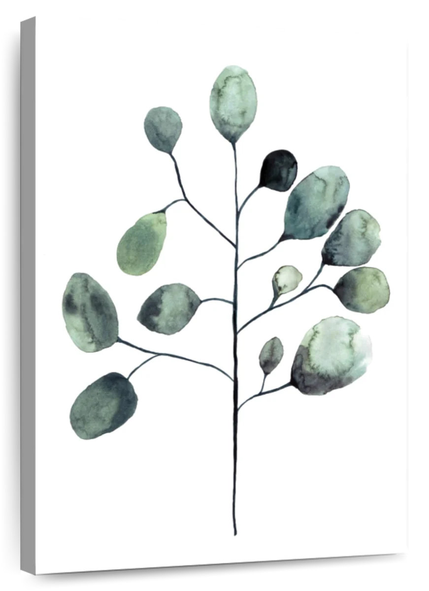Elephant Stock Botanical Eucalyptus Leaves | Wayfair