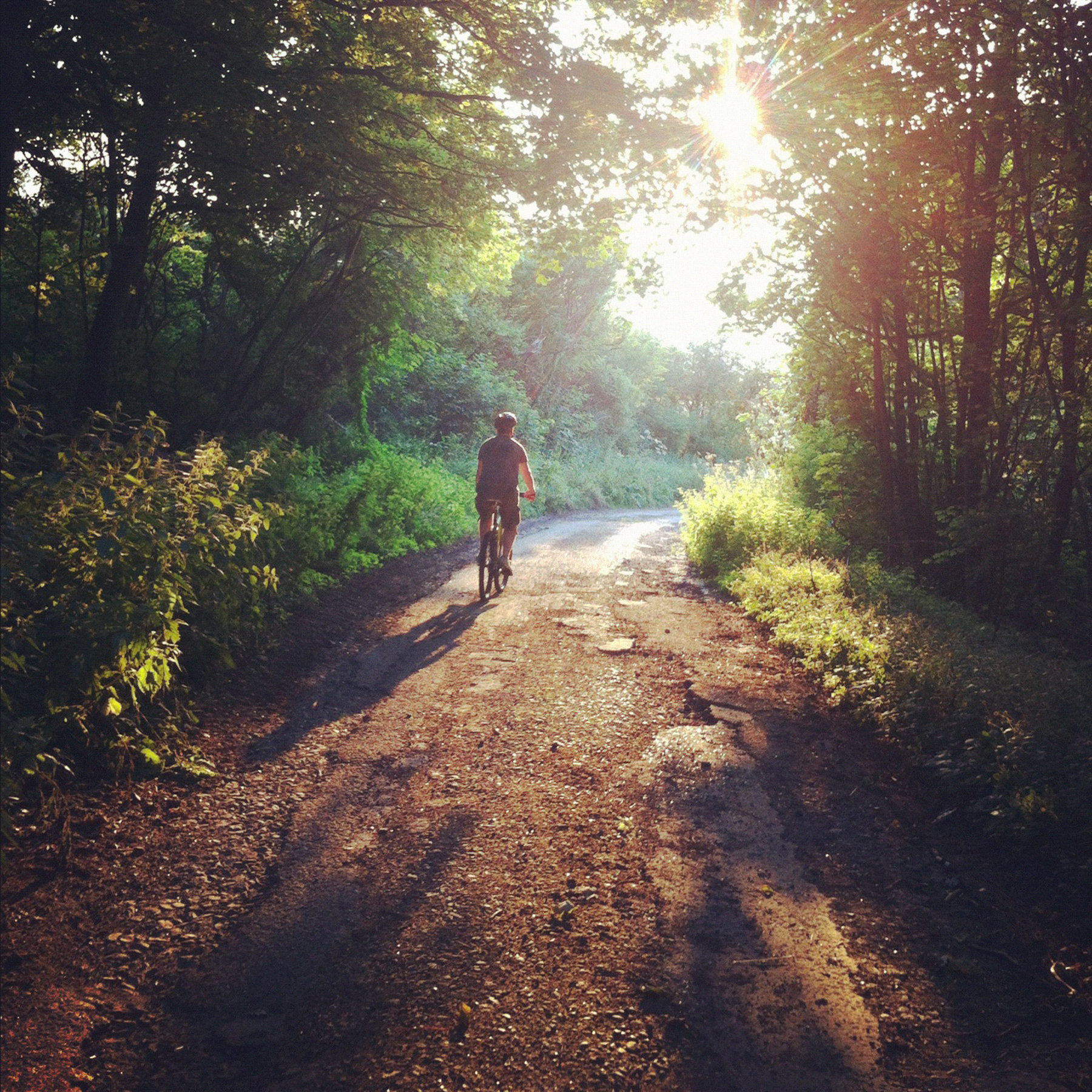 Ebern Designs Man Mountain by Gollykim | Wayfair