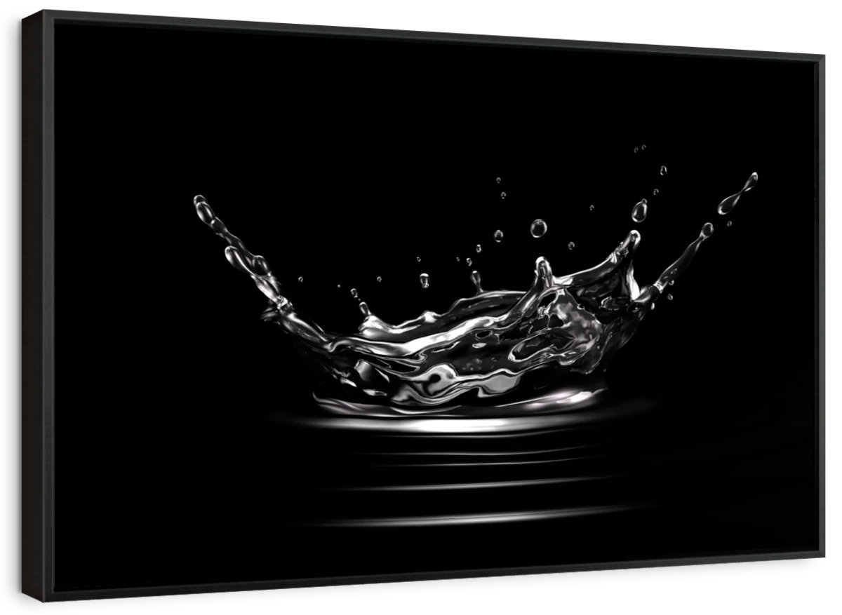 Elephant Stock Monochrome Water Splash Wall Art - Wayfair Canada
