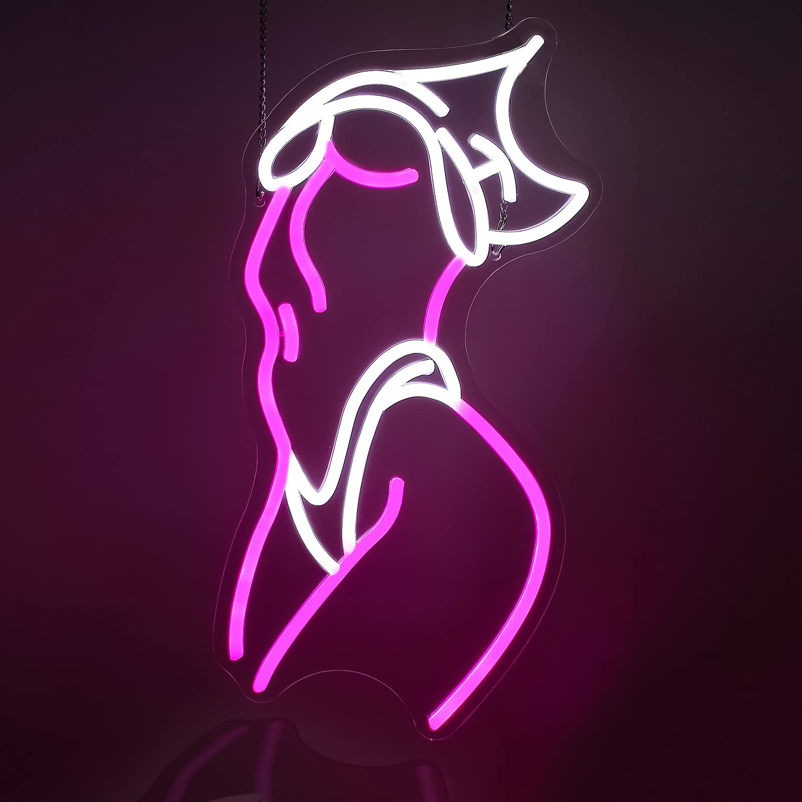 Ivy Bronx Lady Neon Signs Neon Signs For Wall Decor Pink White LED ...