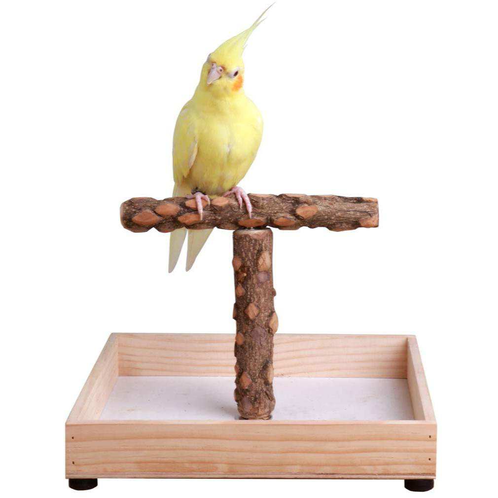 ATCHISON Parrot Play Stand Perch Gym for Small Medium Parrot | Wayfair