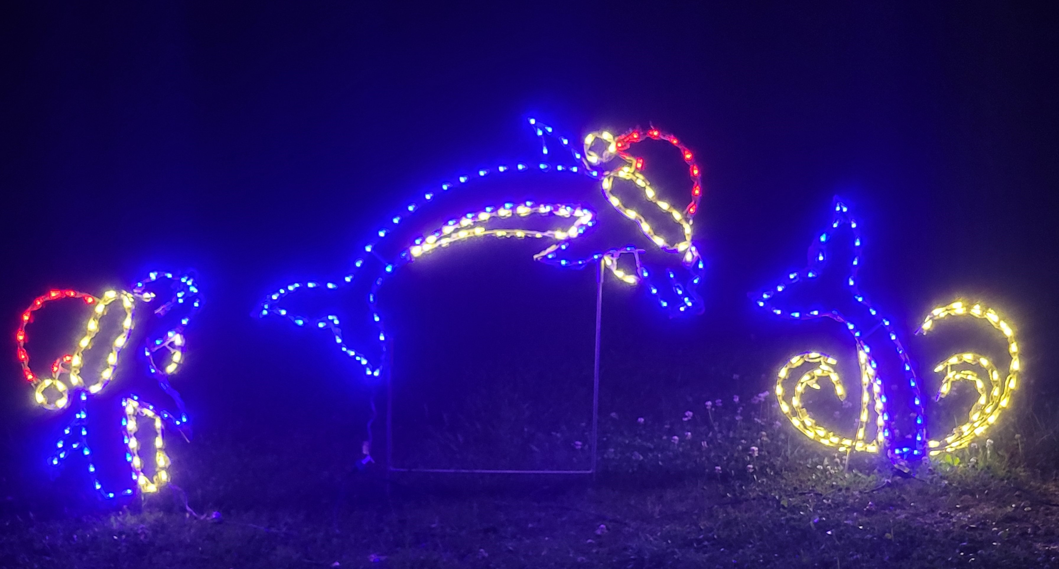 Lori's Lighted D'Lites Animated Jumping Dolphin with Santa Hat Nautical ...