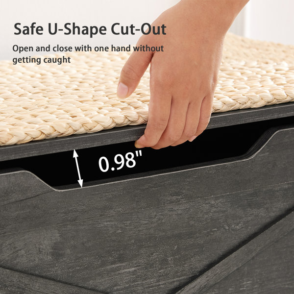 Gracie Oaks Pania 30" Wide Rectangle Storage Bench | Wayfair