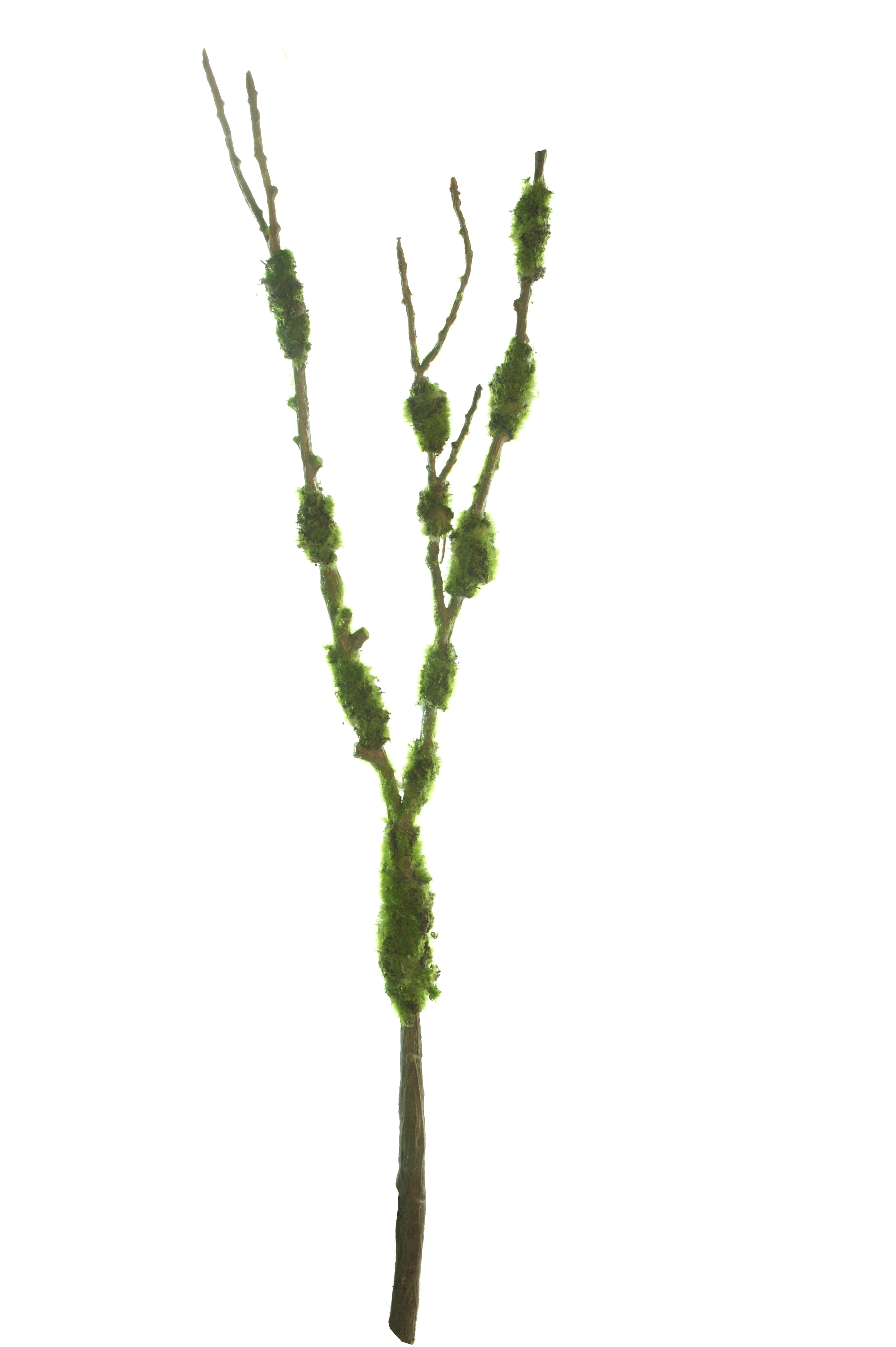 Dakota Fields Moss Branch Lg X1 Branch 37" | Wayfair