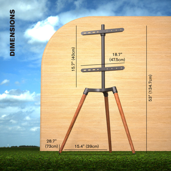 ProMounts Premium Easel TV Floor Stand, Universal TV Mount with 140 ...