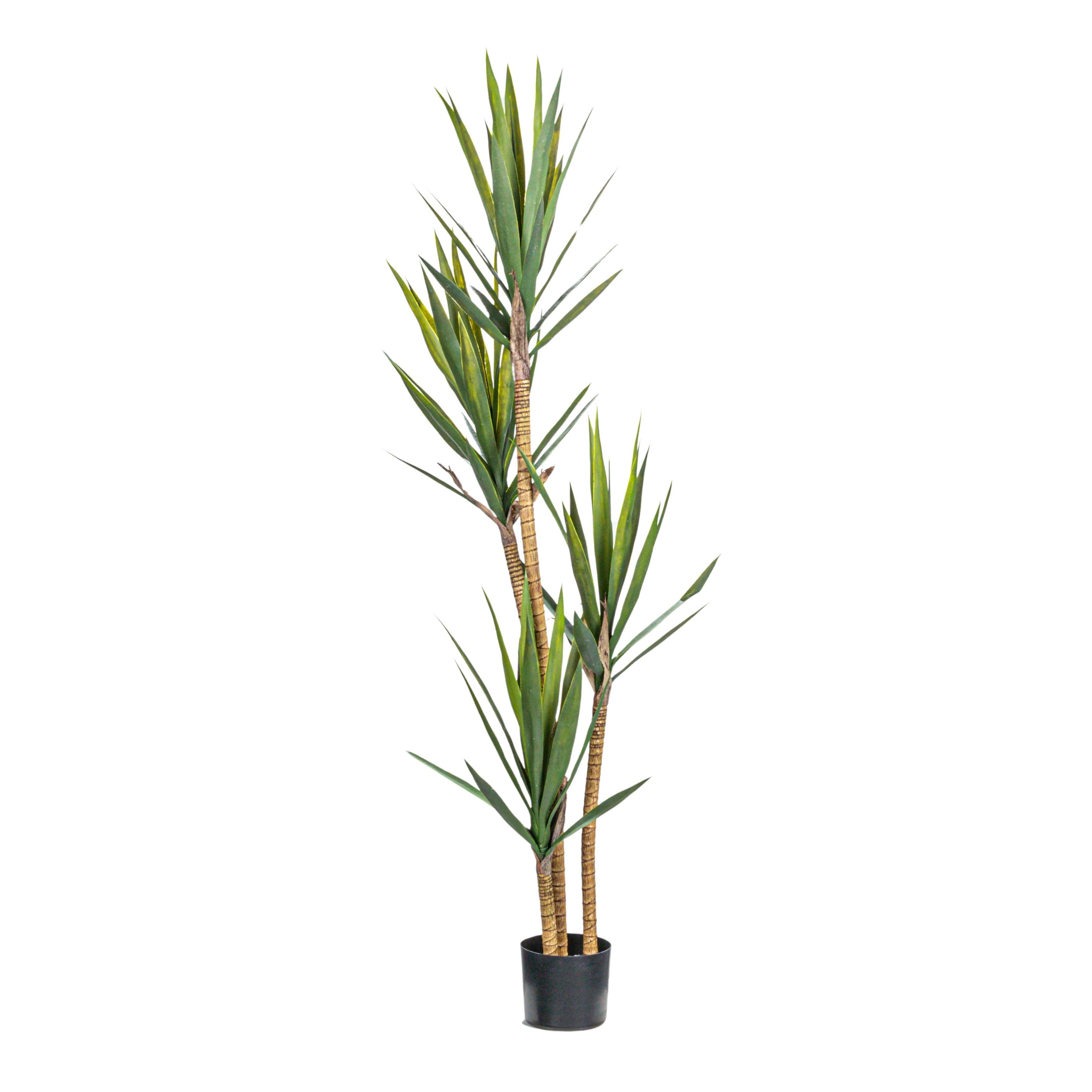 Primrue Faux Yucca Tree In Plastic Pot - Wayfair Canada