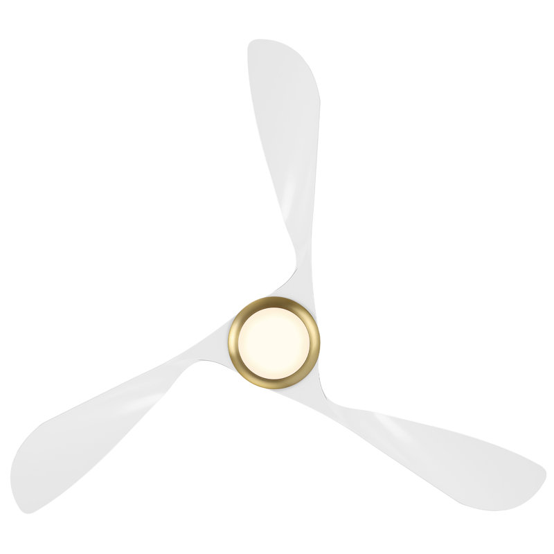 WAC Limited Fans Swirl 54'' Ceiling Fan with LED Lights & Reviews | Wayfair