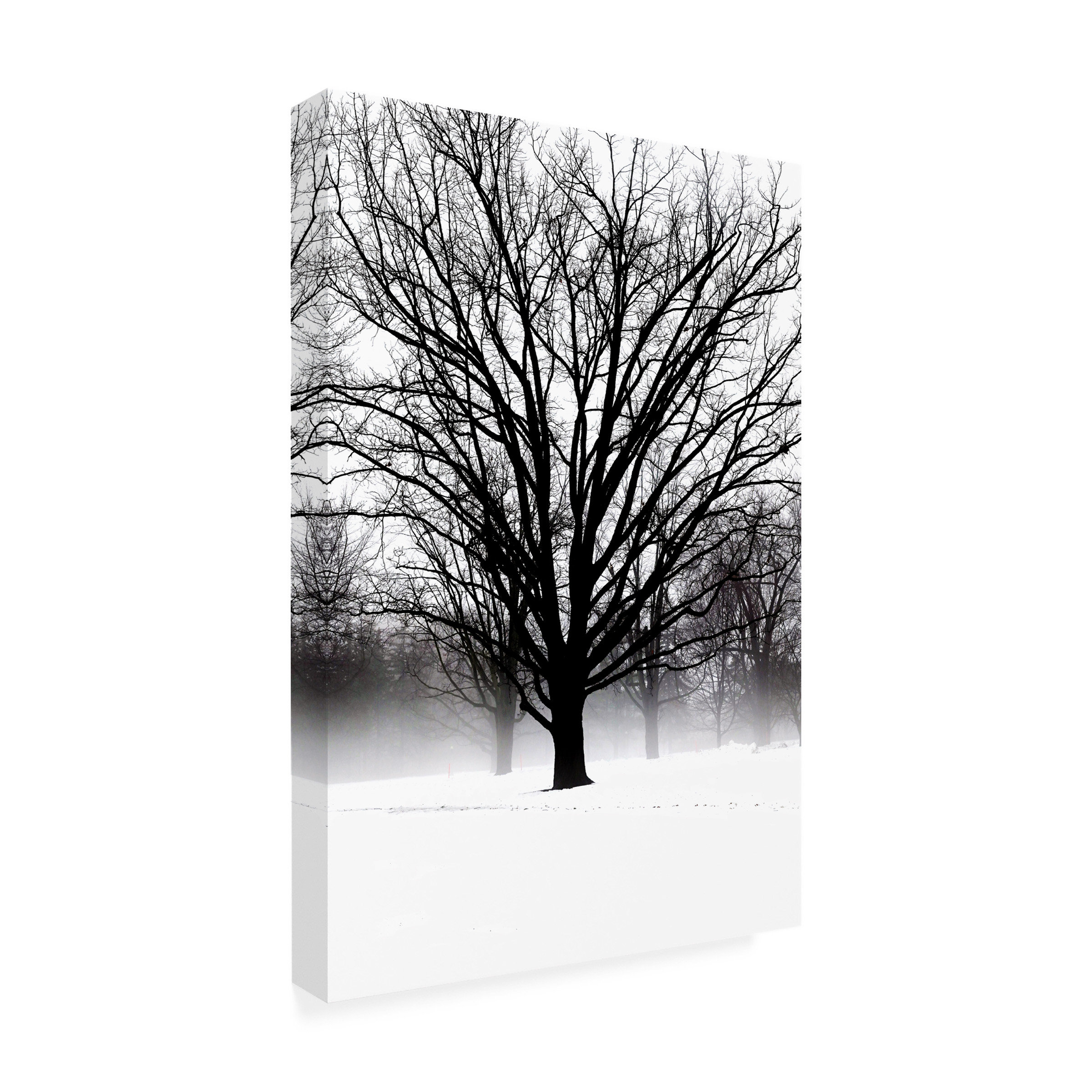 Winston Porter Kriztian High Contrast Tree In Winter On Canvas by Clive ...