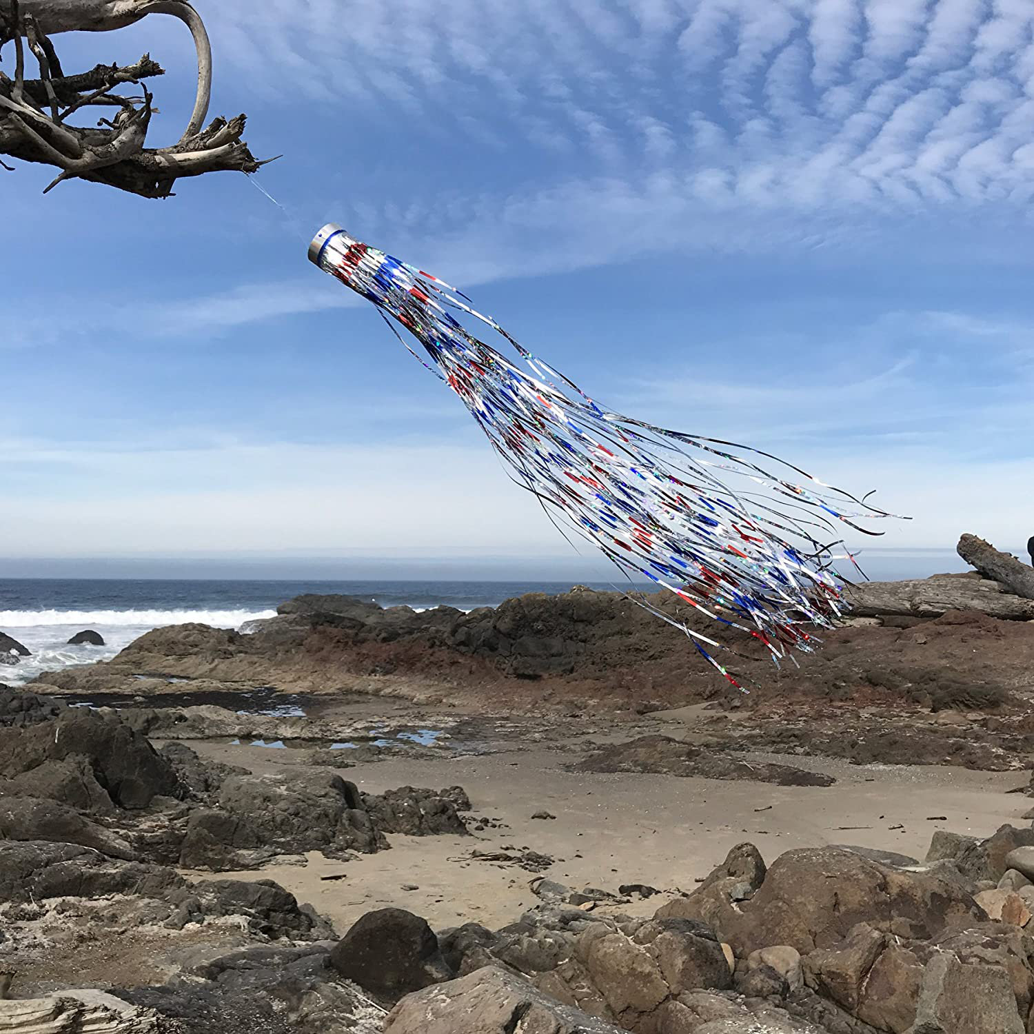 Arlmont & Co. Holographic Mylar Windsock | Wayfair