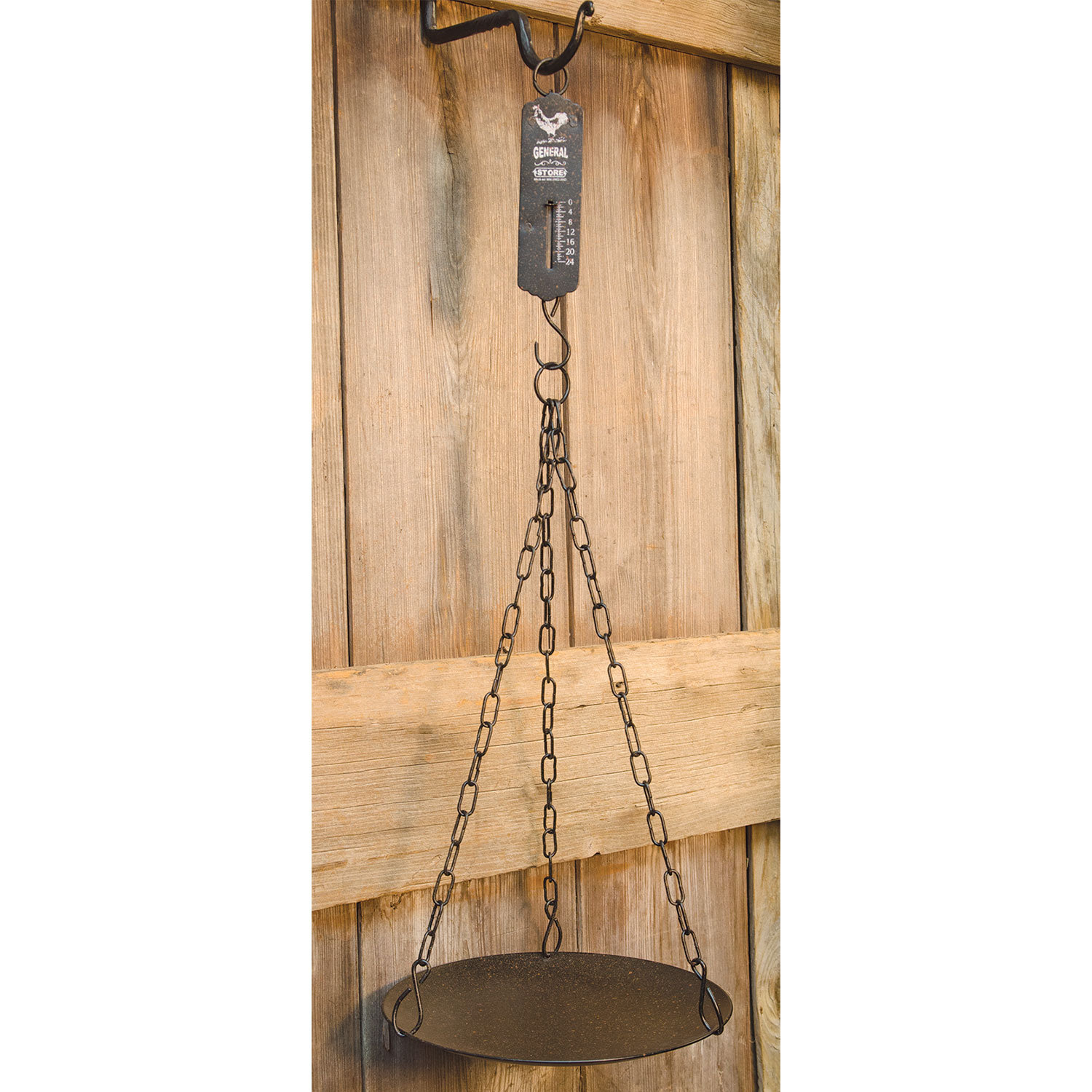 August Grove® Chonte Novelty & Humor Decorative Bird House Or Cage ...