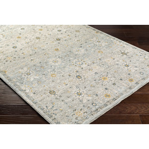 Birch Lane™ Tahoma Performance Rug & Reviews | Wayfair