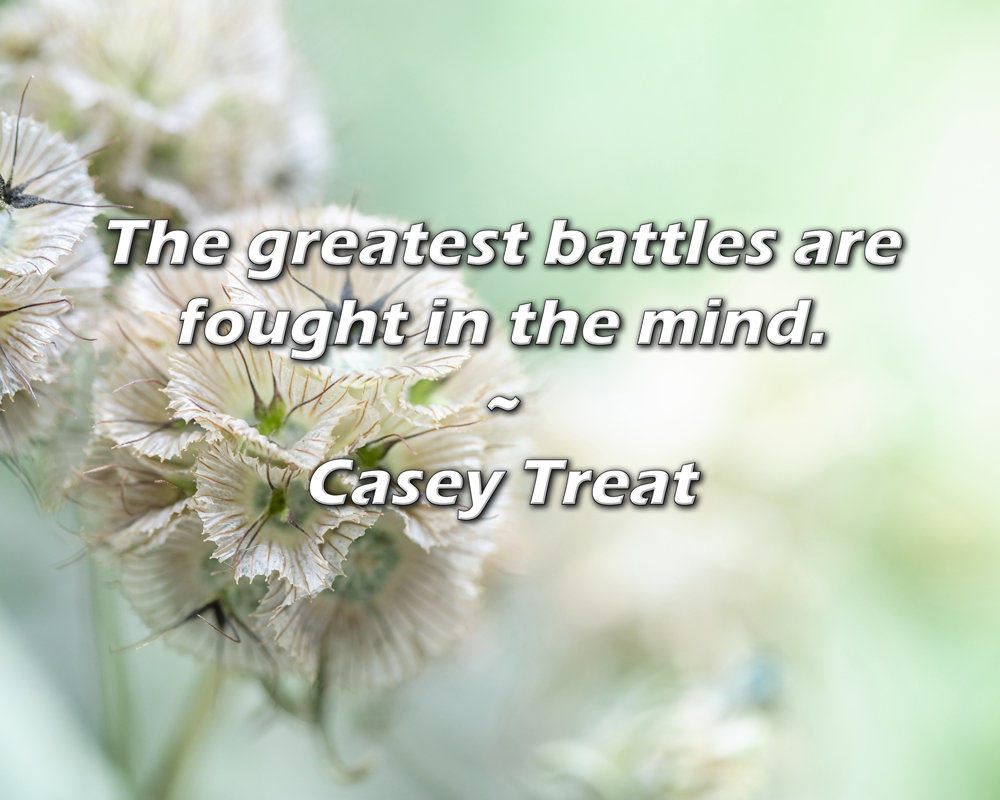 Latitude Run® Casey Treat Quote: The greatest battles are fought in the ...