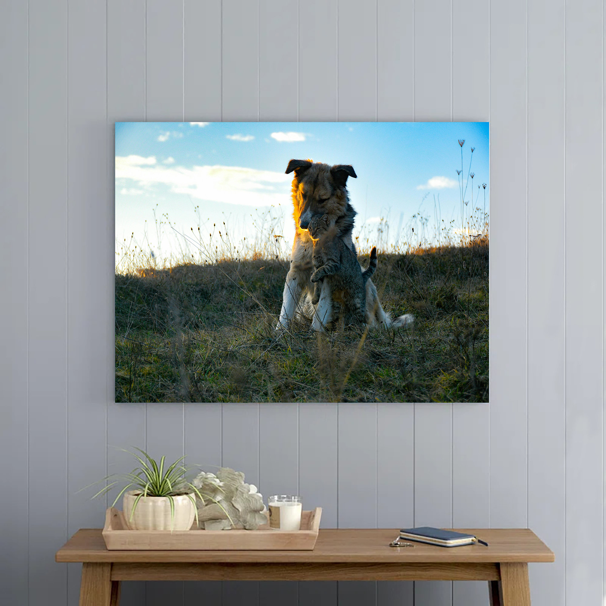 Ebern Designs Cat Rubbing against a Dog | Wayfair