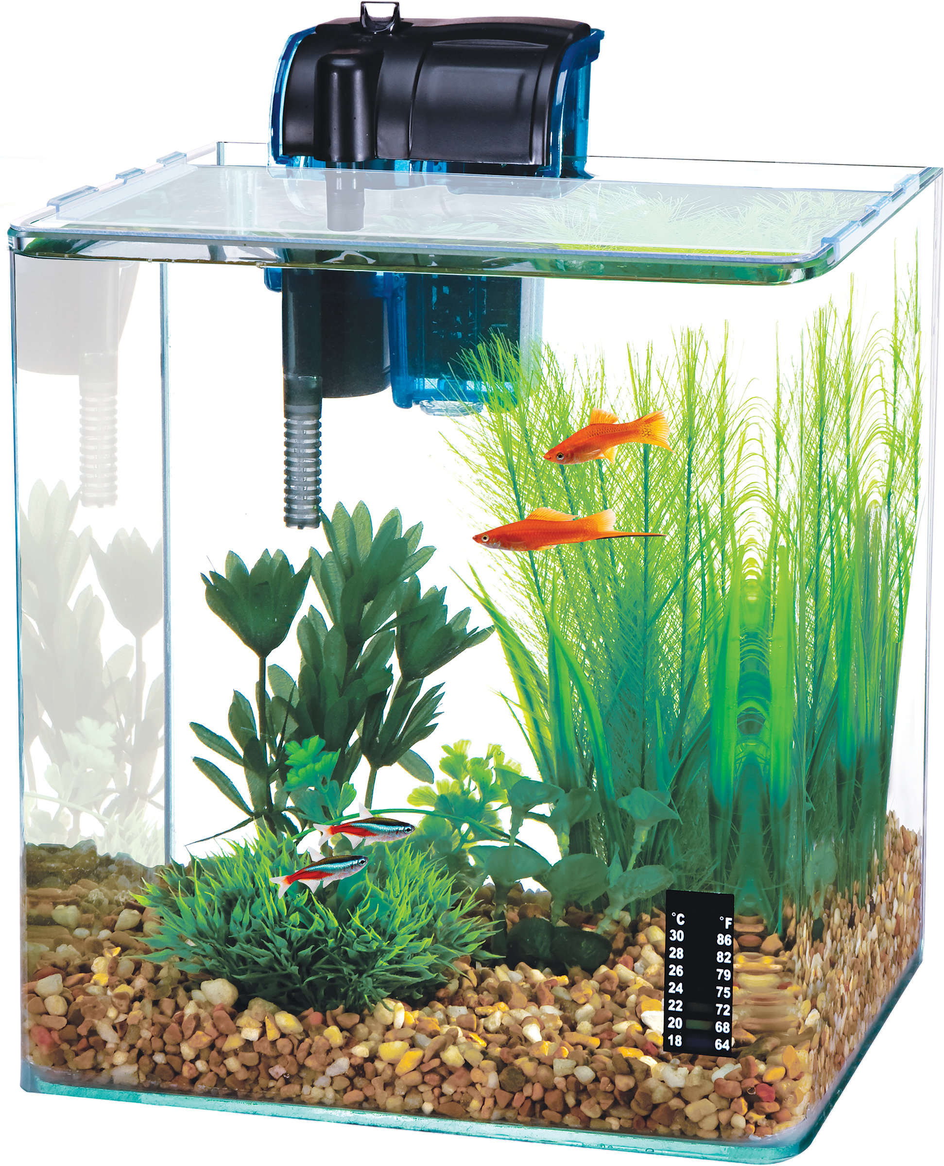 Tucker Murphy Pet™ Jacklyn Vertex Desktop Aquarium Kit - Perfect for ...
