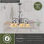 Fleur De Lis Living Mia Light Shaded Classic / Traditional Chandelier ...