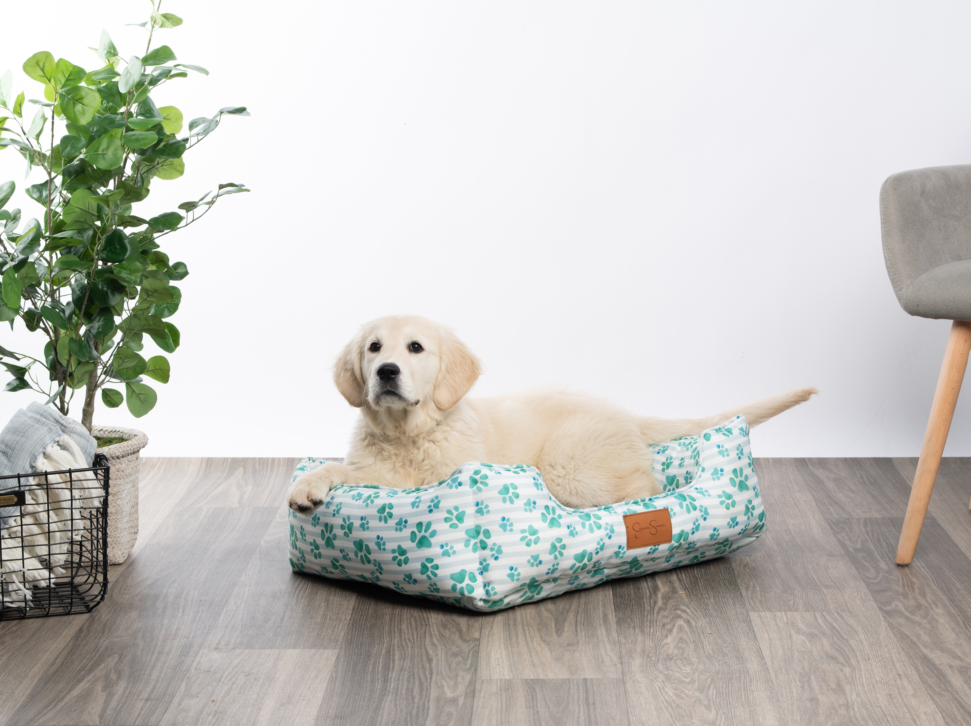 Jessica Simpson Bolster - Wayfair Canada