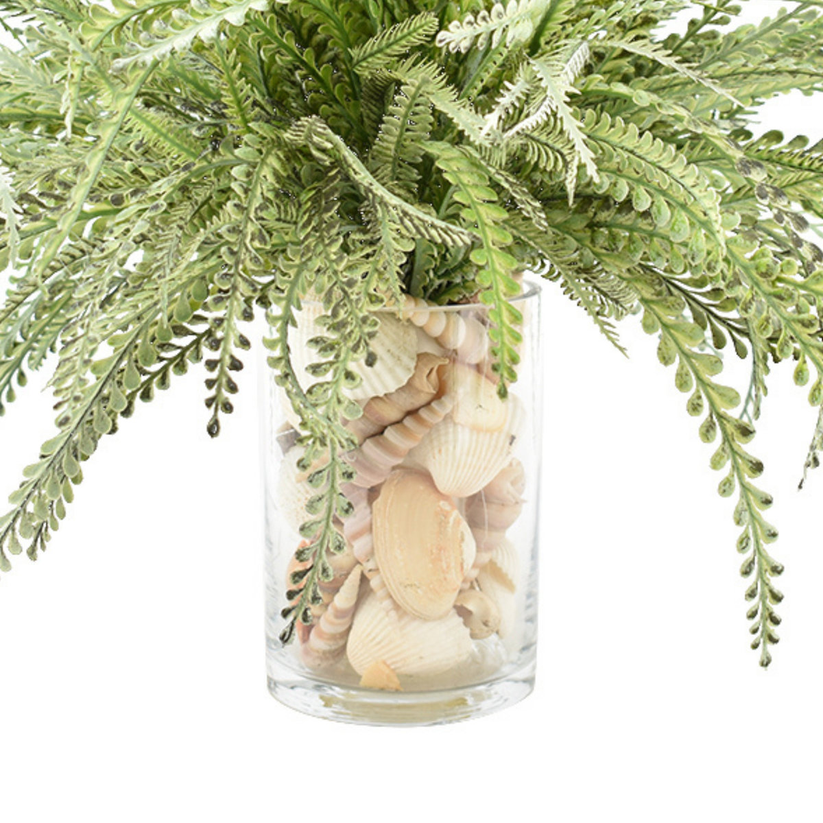 Creative Displays, Inc. Feather Fern Arrangement with Shells & Reviews ...