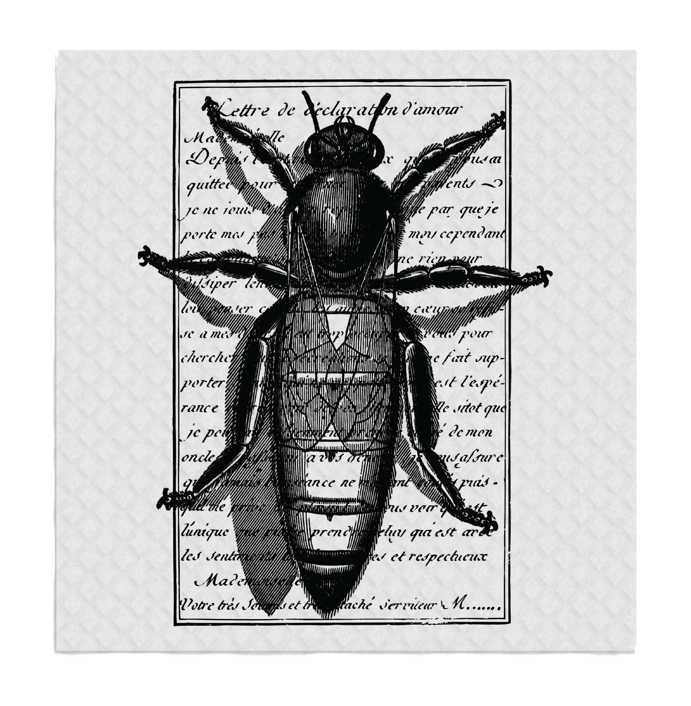 August Grove Bee French Writing Frame, SWEDISH DISH CLOTHS ( Set Of 2 ...