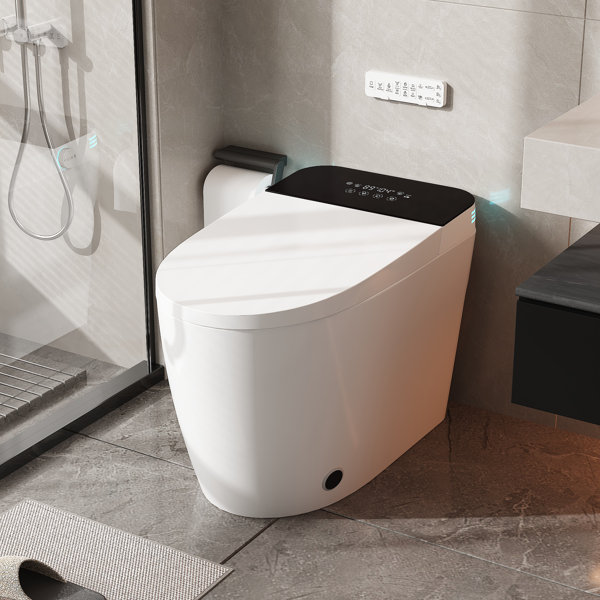 JIMBBOOM Smart One-Piece Elongated Toilet With Bidet, Heated Seat, Warm ...