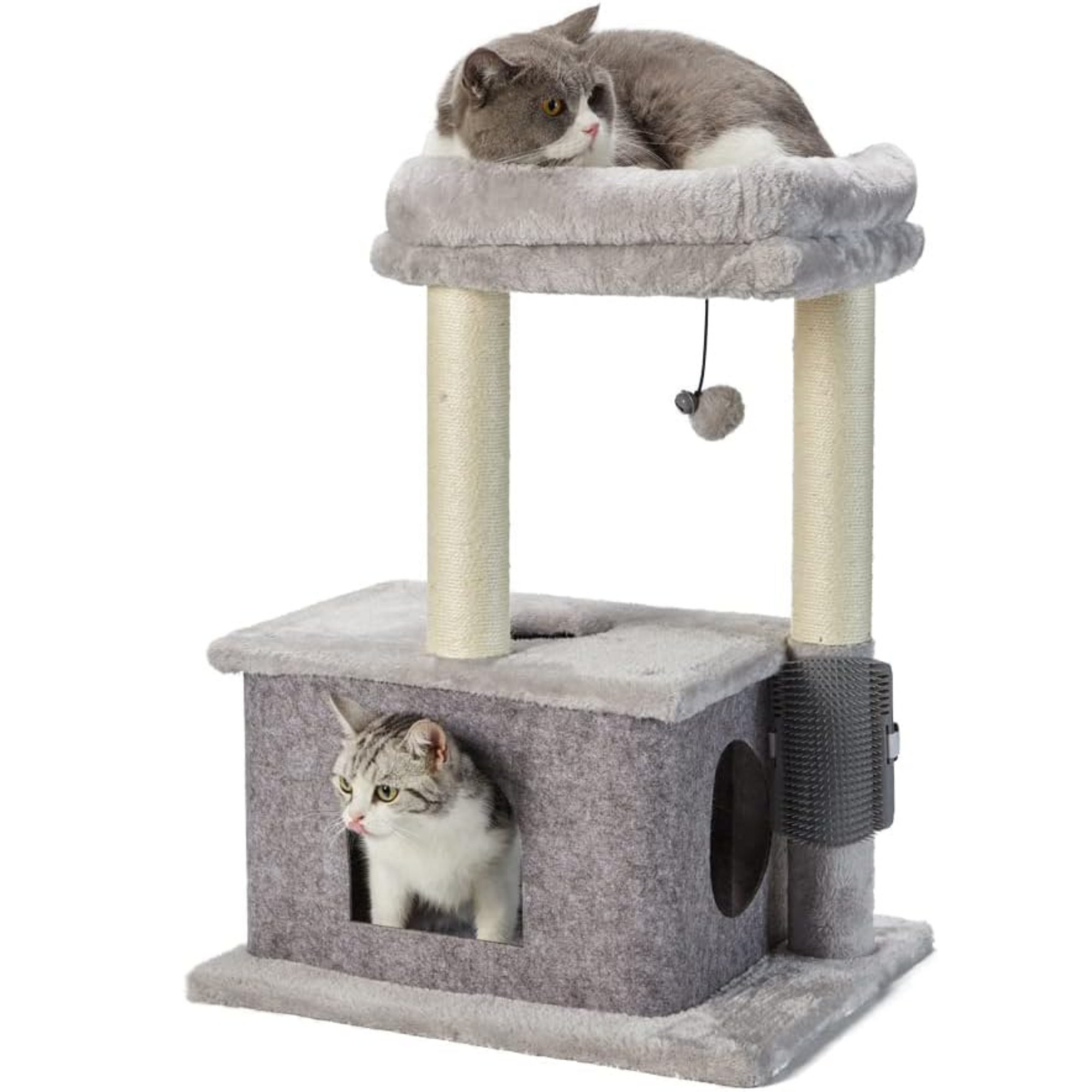 Tucker Murphy Pet™ Elgia Scratching Posts with Tower Beds and Dangling ...