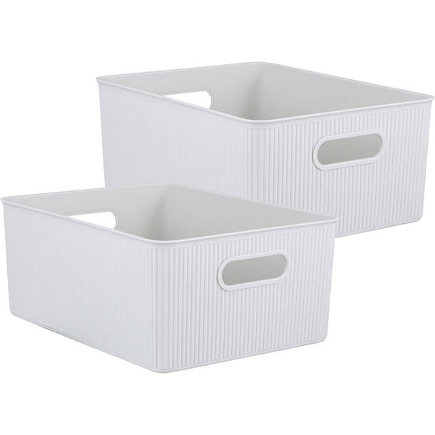 Superio Ribbed Plastic Box Set | Wayfair