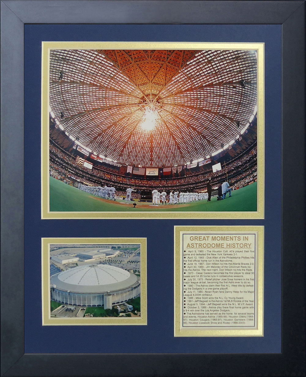 Legends Never Die Houston Astros Astrodome Framed Memorabilia & Reviews ...