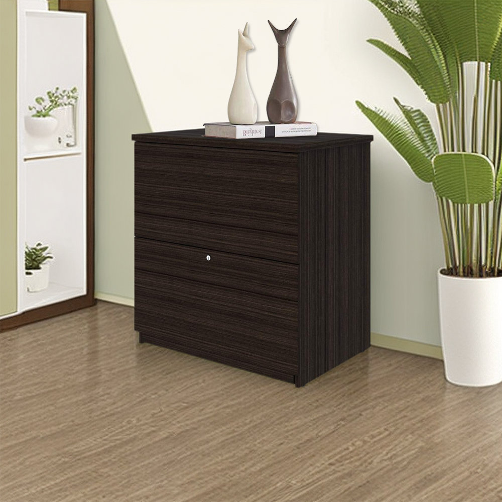 Wildon Home® Eirnin 28.4'' Wide 2 -Drawer File Cabinet | Wayfair