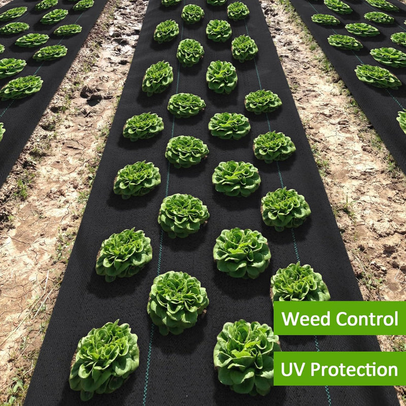 weed control cover