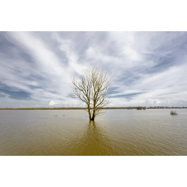 Ebern Designs Floodland by Kanvag - Wrapped Canvas Print | Wayfair.co.uk
