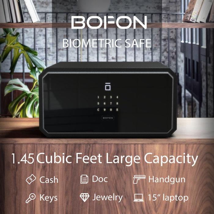 BOFON Security Box with Key, Safe Box, Fingerprint Password Safety ...