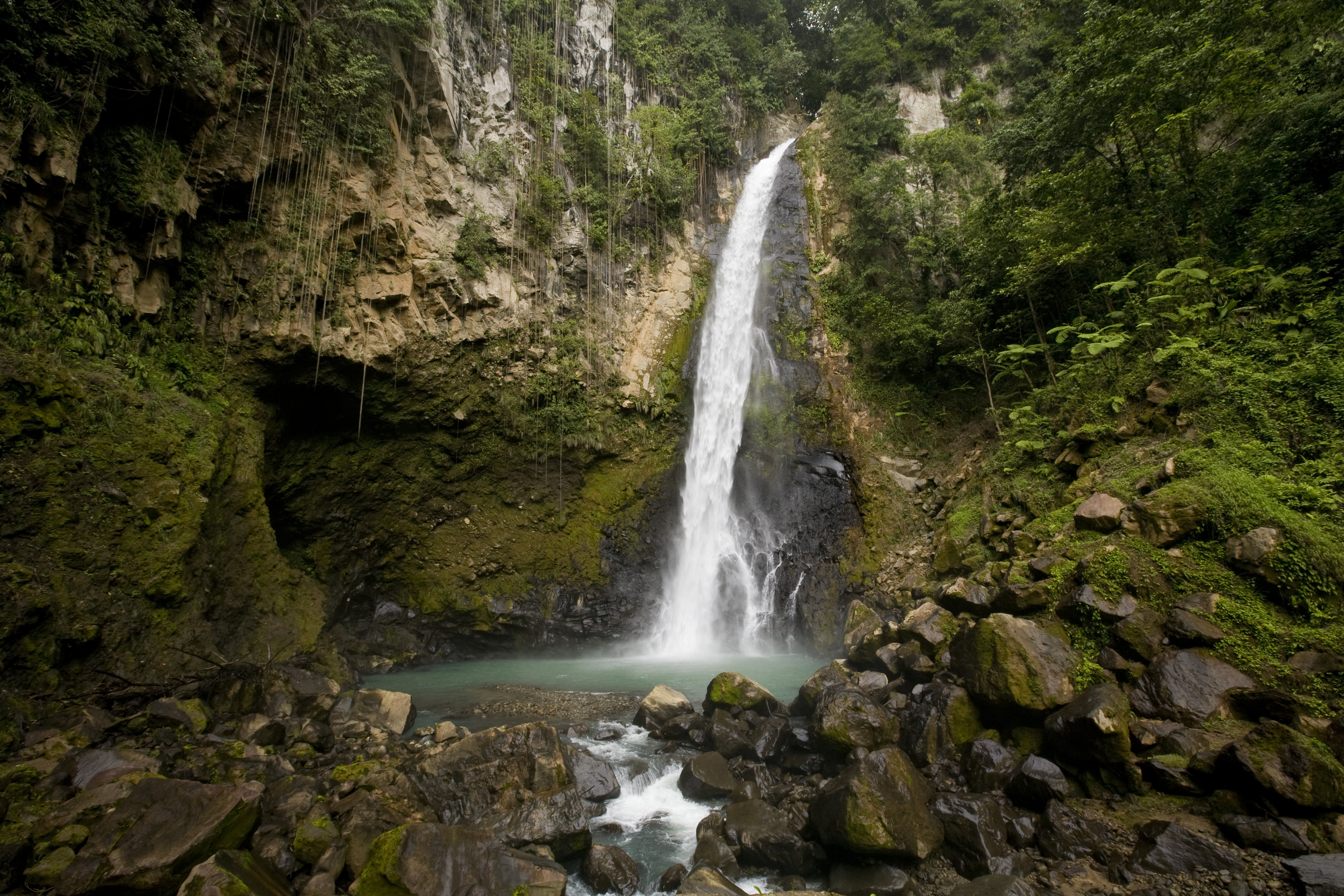 Millwood Pines Victoria Waterfall by Zxvisual | Wayfair