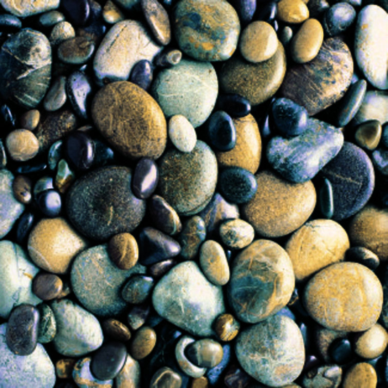 Imagine Tile, Inc. 8" x 8" Ceramic Pebble Tile | Wayfair