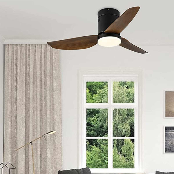 Ivy Bronx Dalaila 40'' Ceiling Fan with LED Lights - Wayfair Canada